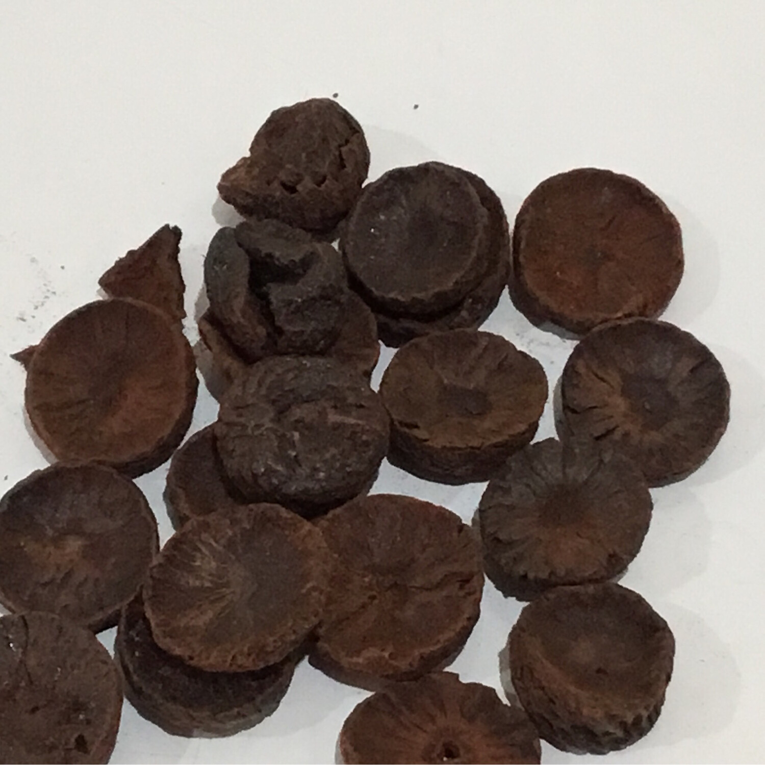 Betel Nuts